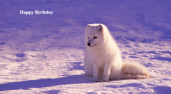 February 7th Birthdays | 50+ World