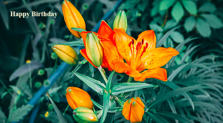 May 15th Birthdays | 50+ World