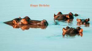 November 7th Birthdays | 50+ World