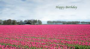 April 12th Birthdays | 50+ World - 50+ World