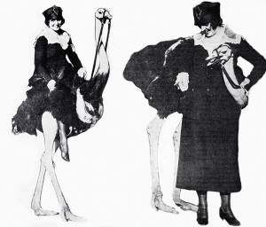 Silent Film Stars: Birds of a Feather | 50+ World - 50+ World